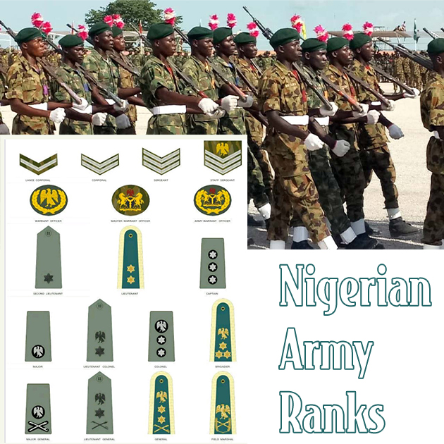 Nigerian Army Ranks and Salary Structure - FlexJobs: Nigerian Job Finder